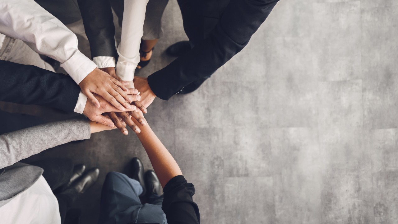 Executive management